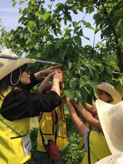 2019 경평원 불어라 평생학습바람 바람과 함께 社拏知多사라지다 산들바람의 아는 형 프로젝트 34차시 201906